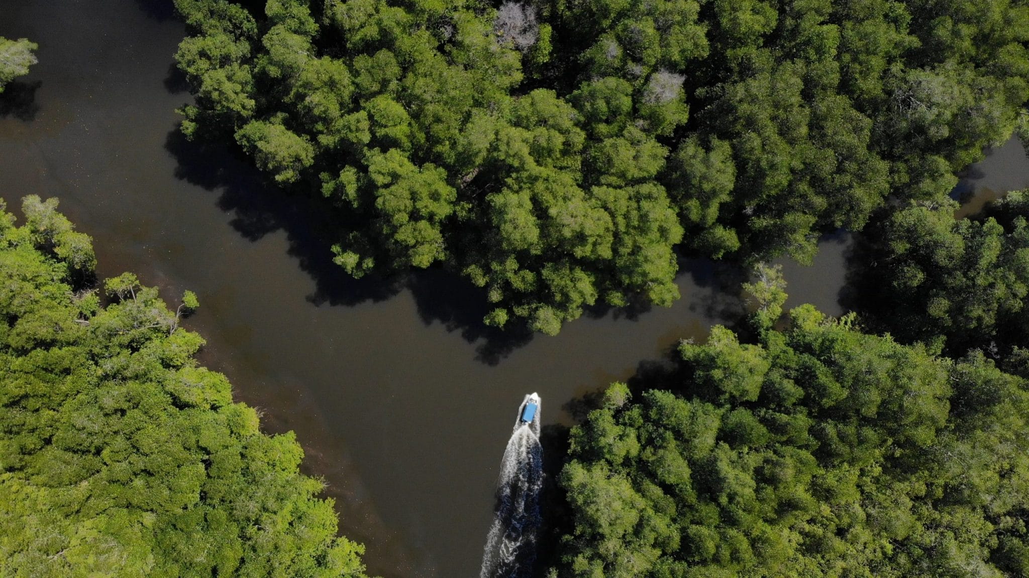 The Ultimate guide for Drake Bay