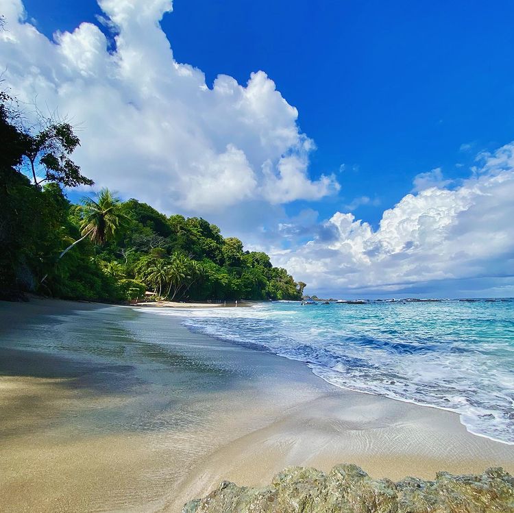 Unforgettable Jungle Adventure: Corcovado Wild Treasures 2 Night